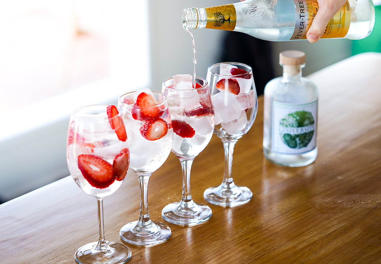 Tre G&Ts med Giniversity Botanical Gin – En Verden af Gin